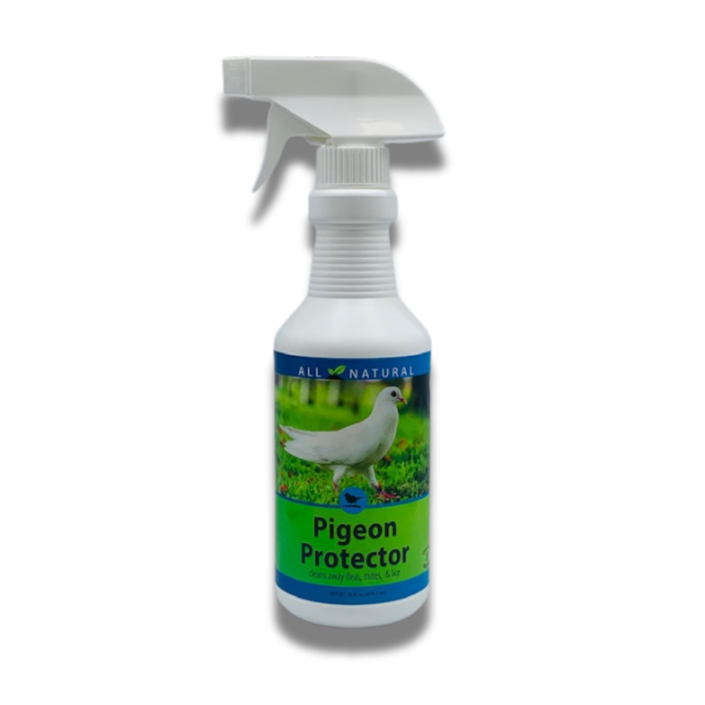 Mite & Lice Spray for Pigeons & Lofts | Pigeon Protector | 16 oz ...